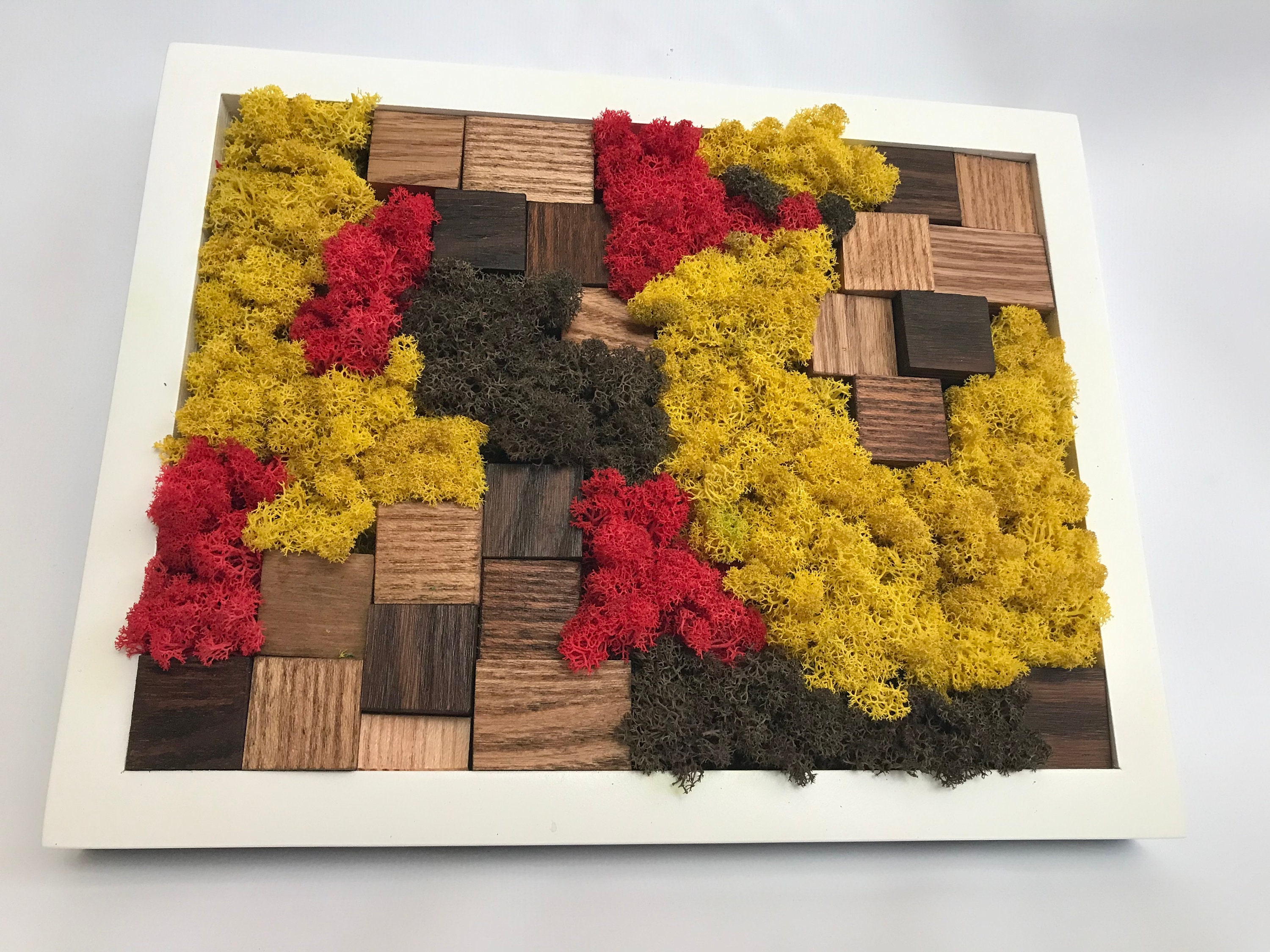 Wooden Moss Panel Moss Wall Art Living Moss Wall Preserved - Etsy
