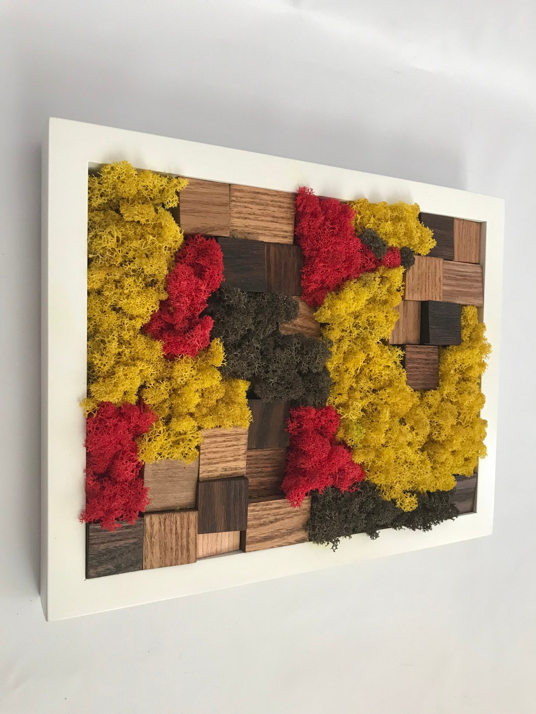 Wooden Moss Panel, Moss Wall Art, Living Moss Wall, Preserved Moss Wall ...