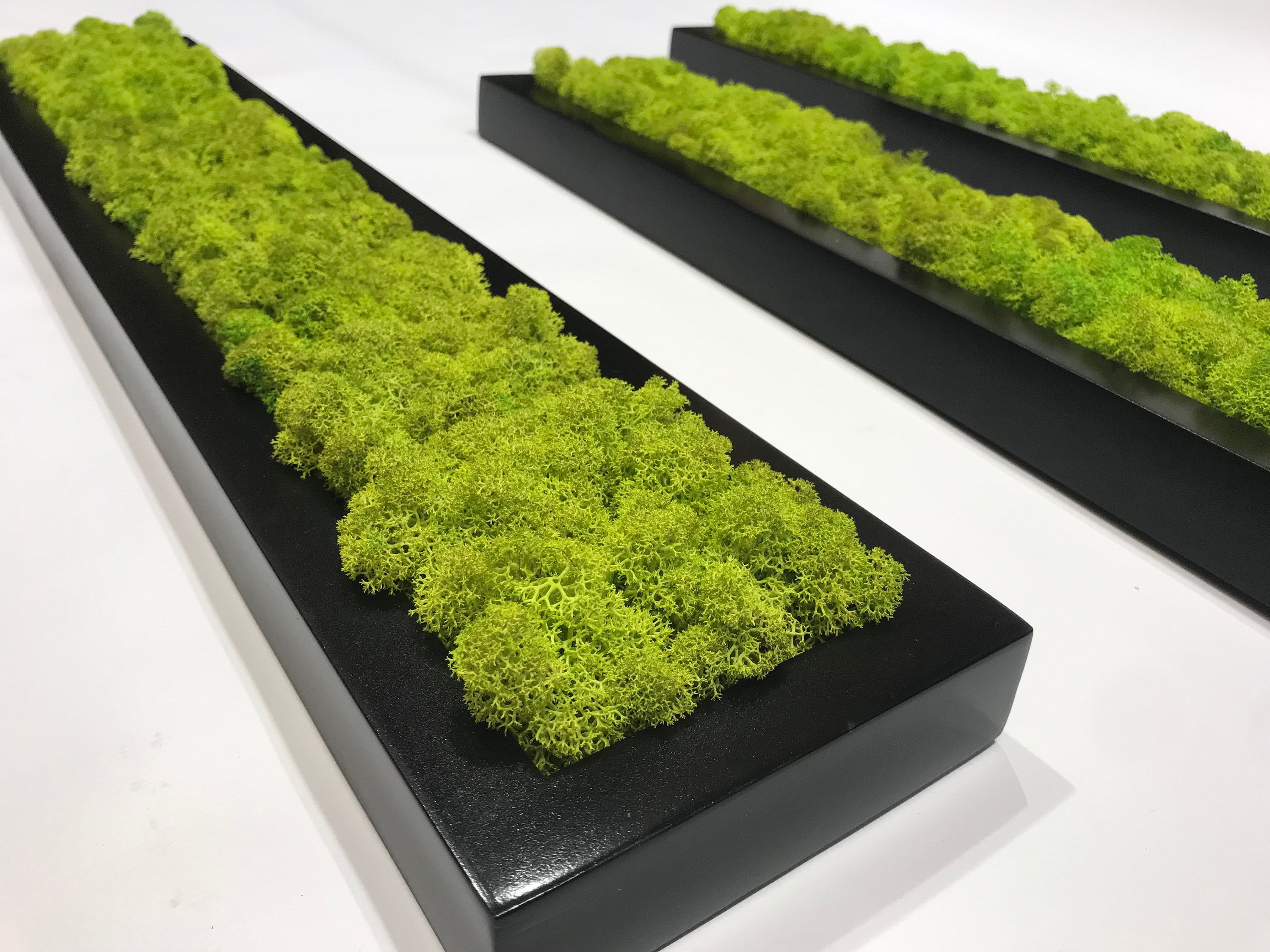 3 Pieces Moss Wall Art, Live Moss, Moss Wall Decor, Handmade Home Decor ...