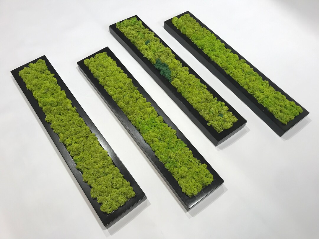 Wooden Panels, Set of Moss Panels, Moss Wall Panels, Art Wall Decor ...