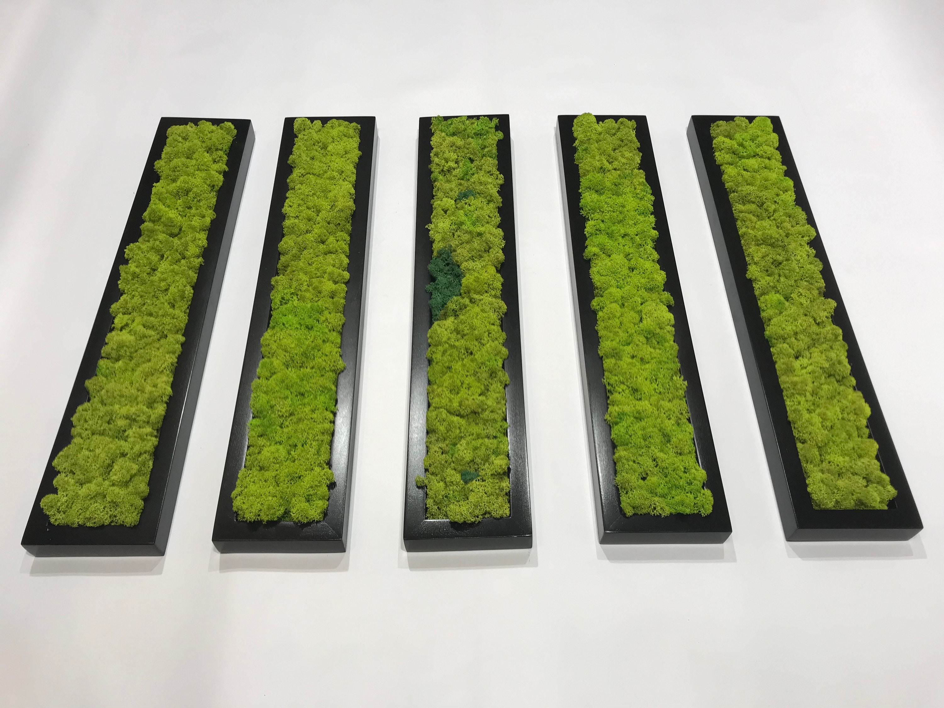 Wooden Moss Panel Moss Wall Panels Moss Wall Art Living Moss Wall ...