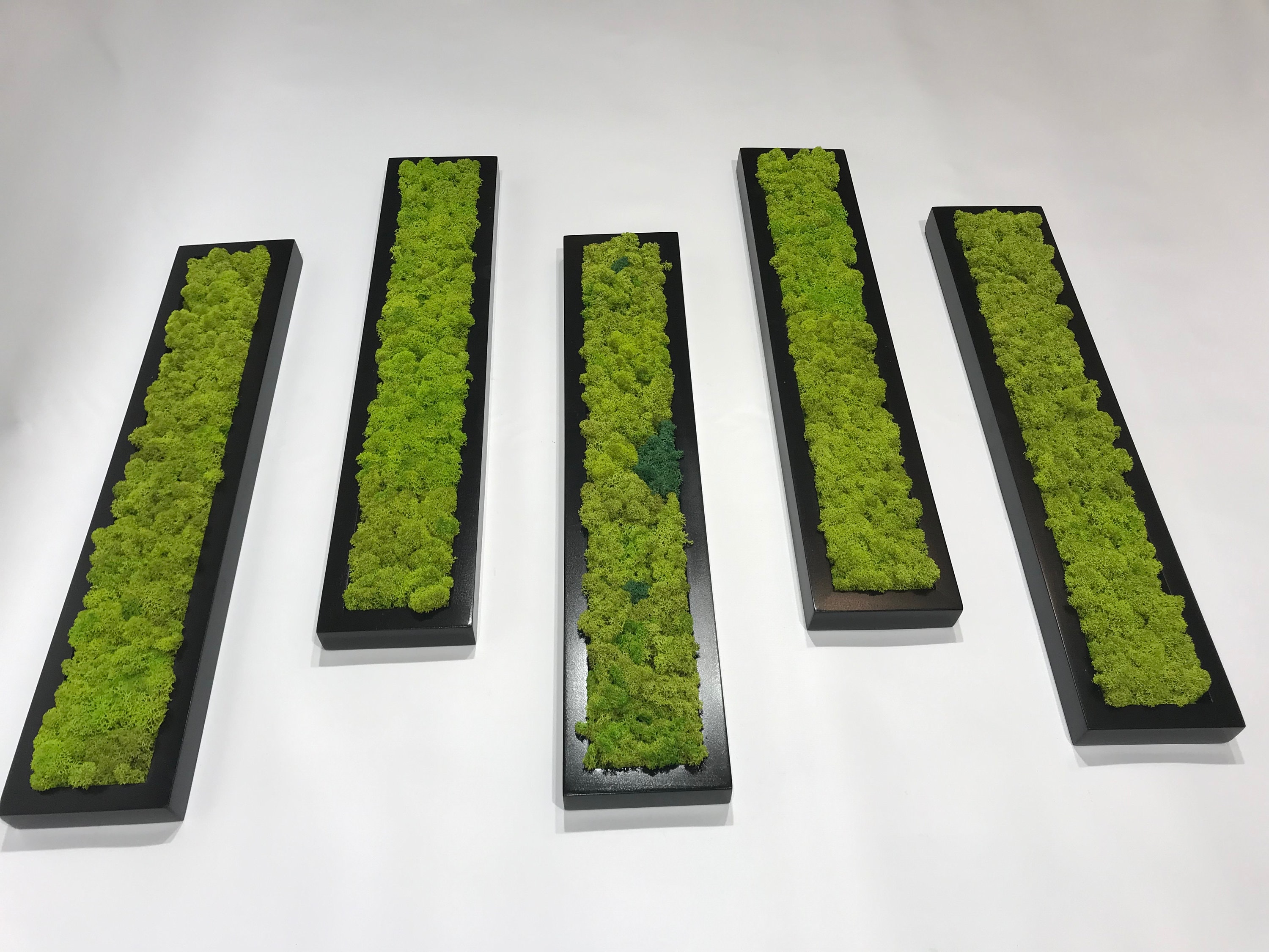 Wooden Moss Panel - Moss Wall Panels - Moss Wall Art - Living Moss Wall ...