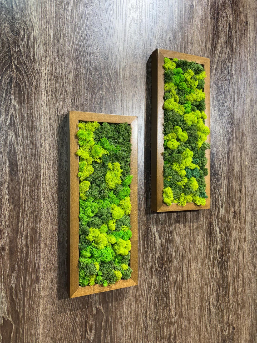 2 Pieces Wall Panel, Wooden Moss Panel, Moss Wall Panels - Moss Wall ...