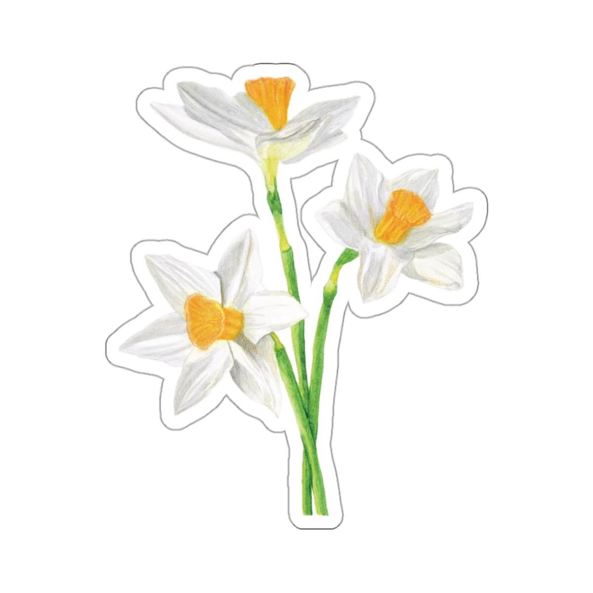 Daffodil Flower Sticker - Etsy