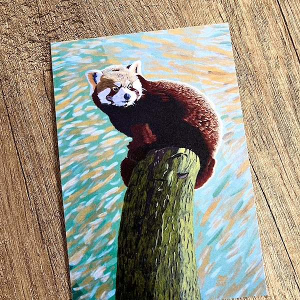 Animal Postcard - Etsy