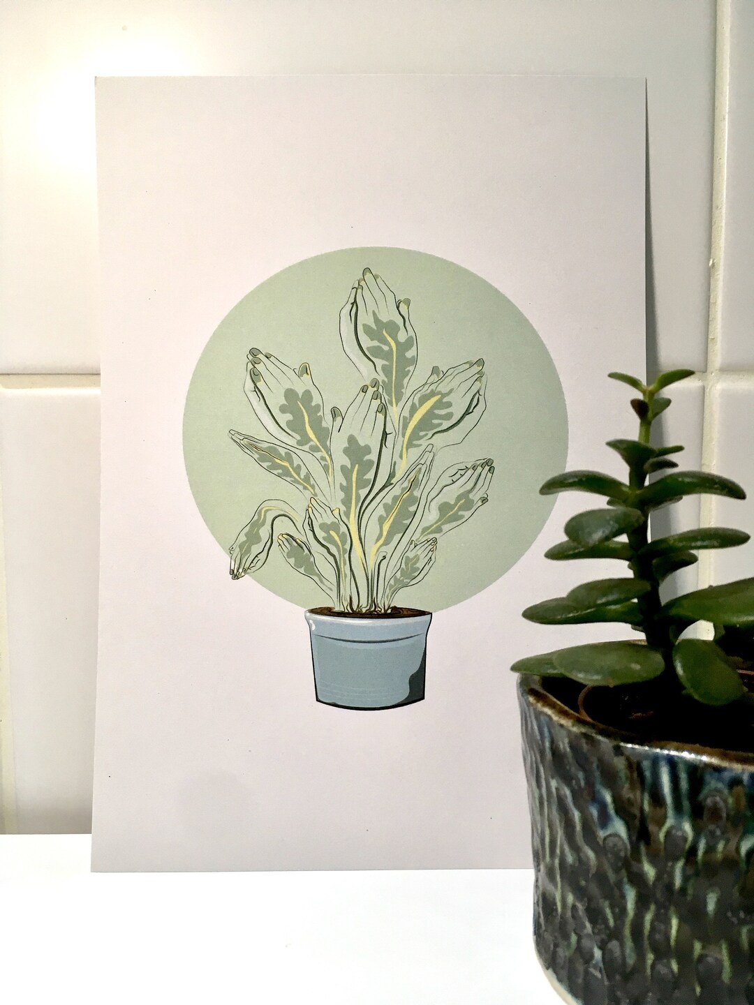 Prayer Plant Illustration - Etsy