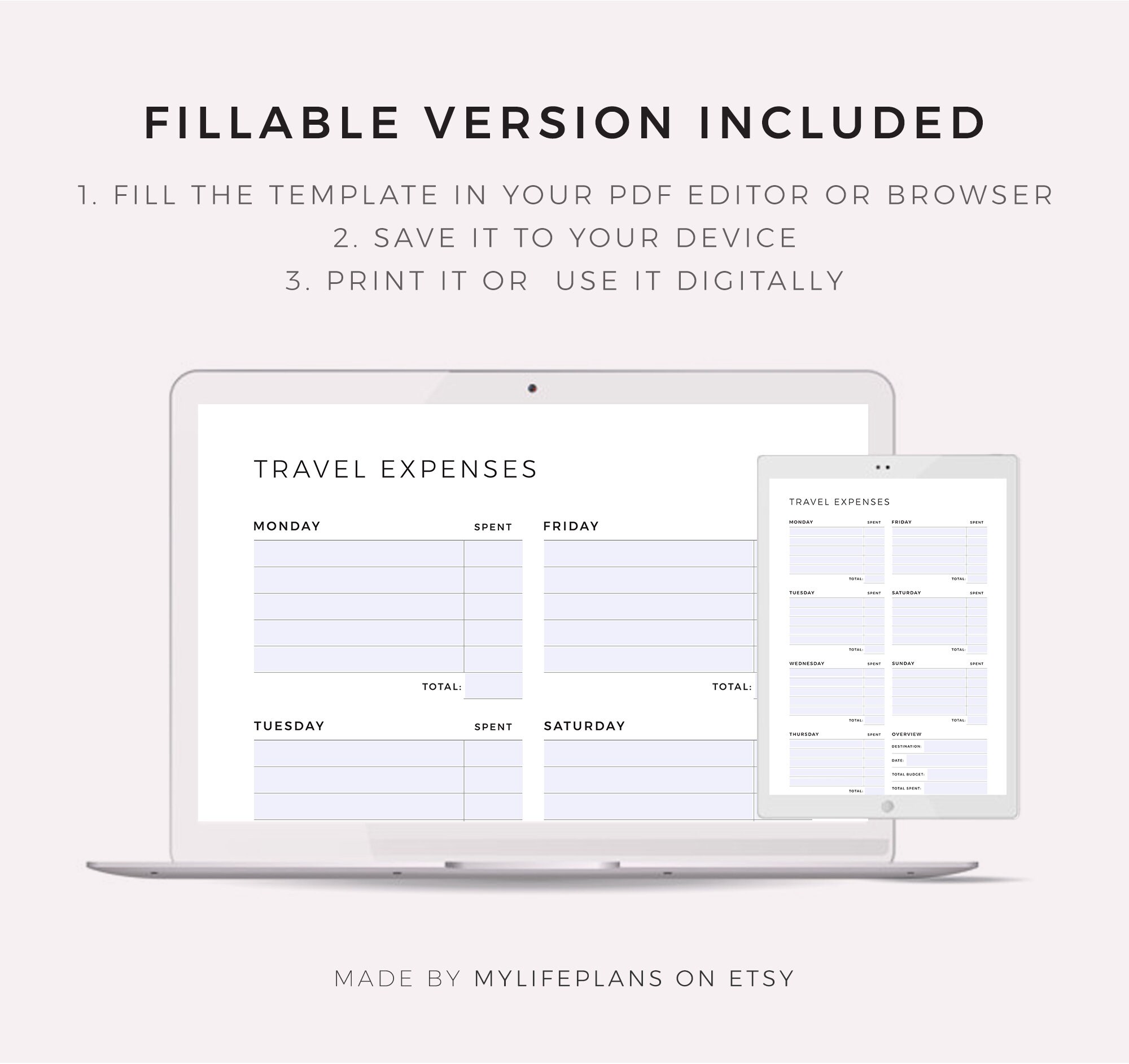 Printable Daily Travel Expenses Tracker Vacation Spending - Etsy