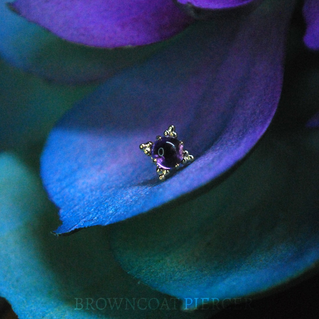 Anatometal 18k Yellow Gold Threadless Zia End - Genuine Amethyst ...