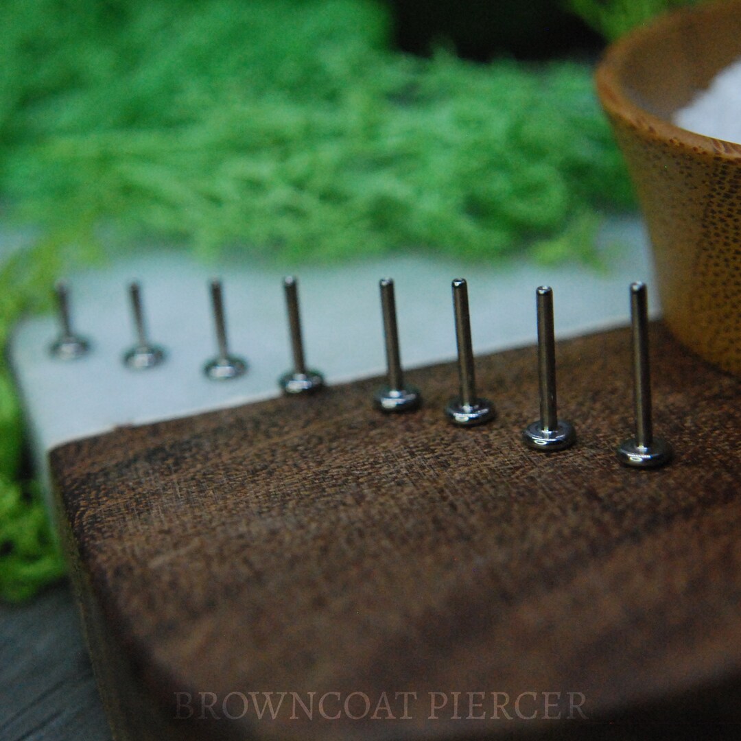 Niobium Labret - 1.2mm (16 Gauge) - Threadless - Push Fit - Labret Stud ...