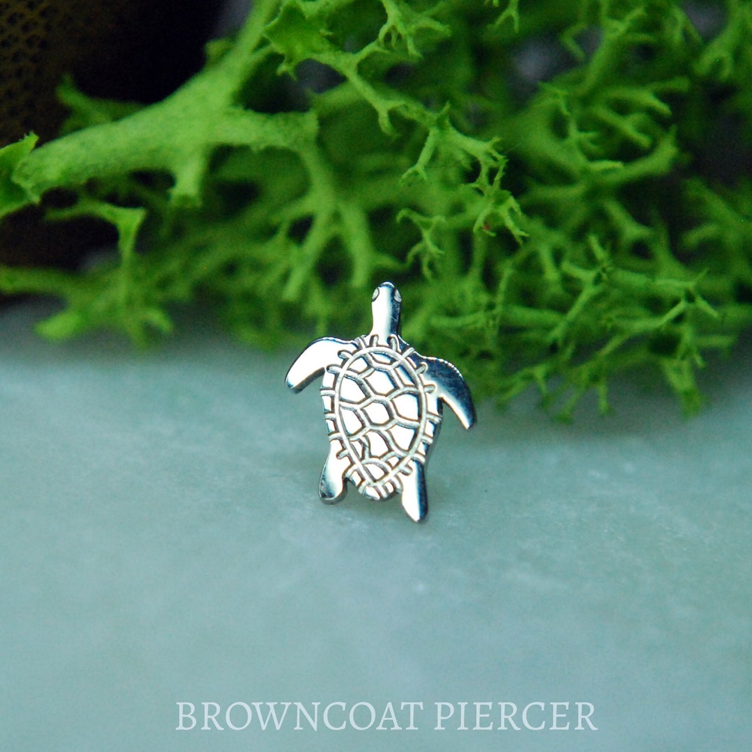 Implant Grade Threadless Titanium Turtle Shaped End - Push Fit ...