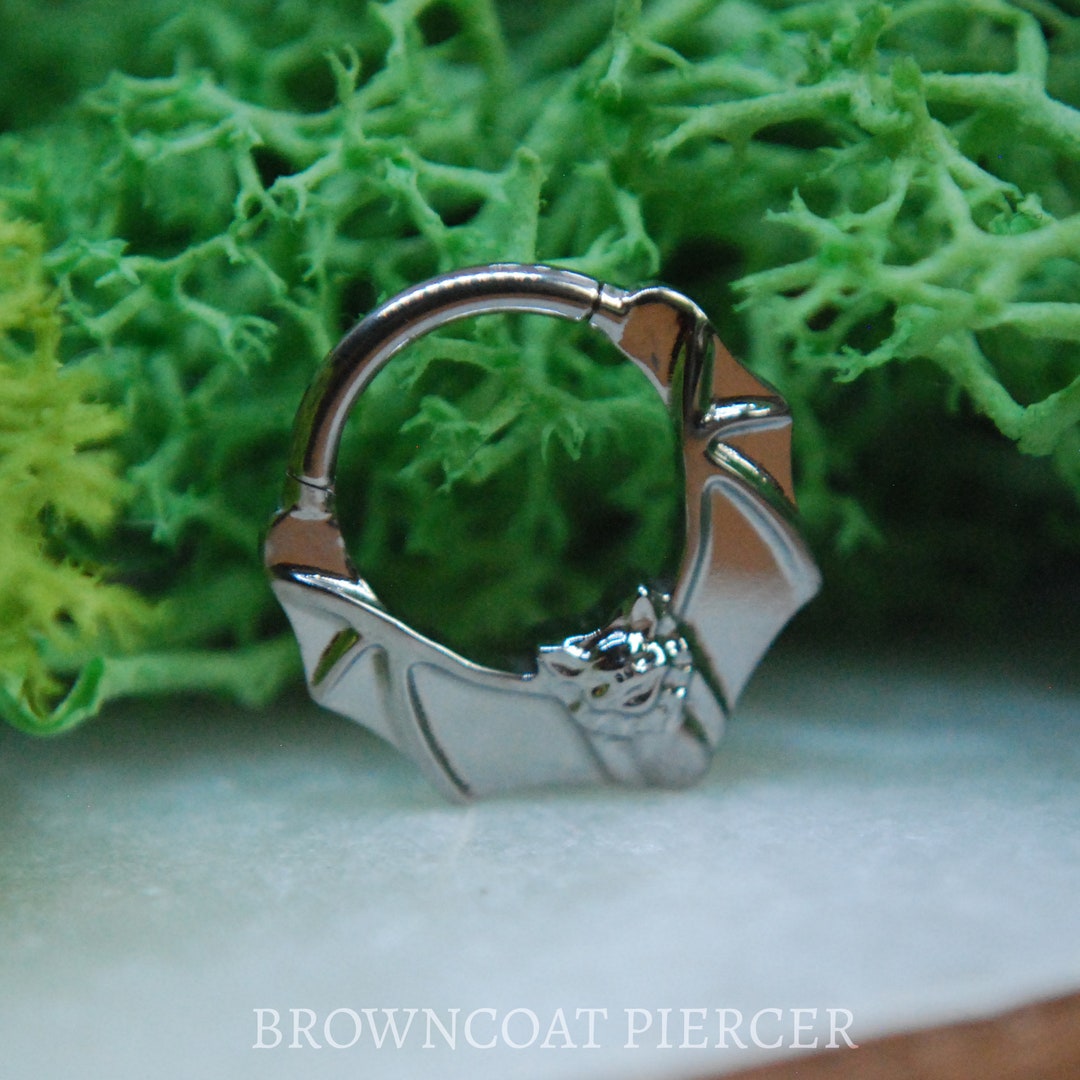 Implant Grade Titanium Bat Clicker Ring 16ga / 1.2mm Hinged, Segment ...