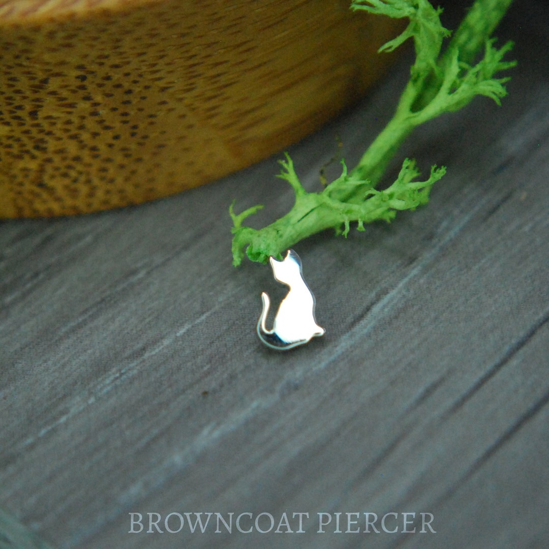 Titanium Internally Threaded Cat End Implant Grade Titanium 1.2mm ...