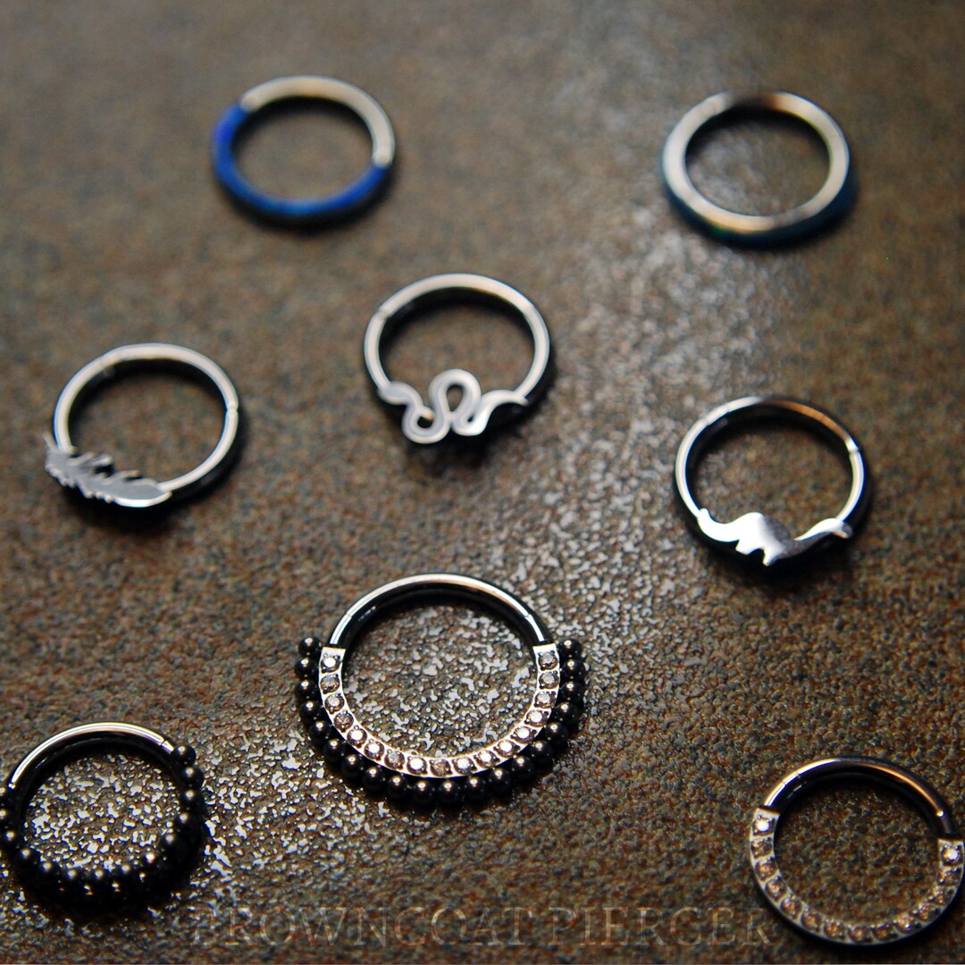 Titanium Hinged Segment Rings Clickers Daith, Septum Helix, Nostril ...