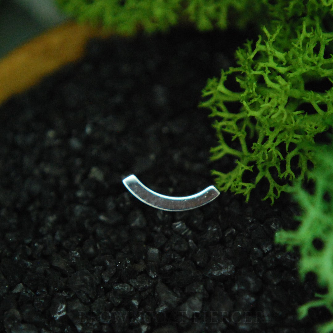 Titanium Internally Threaded End Curved End Implant Grade Titanium 1 ...