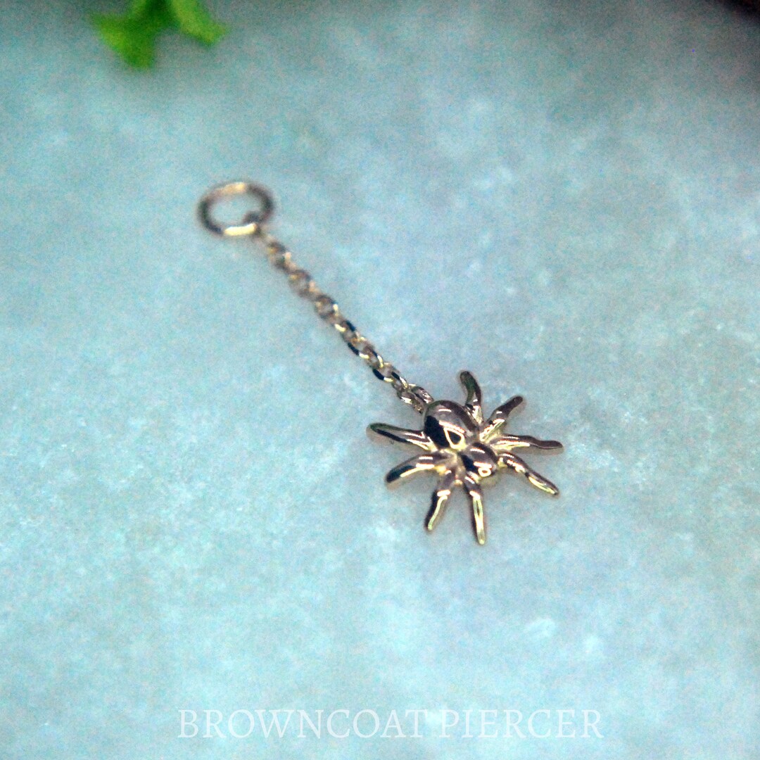 Tish Lyon 14k Yellow Gold Spider Chain Charm Golden Widow - Etsy