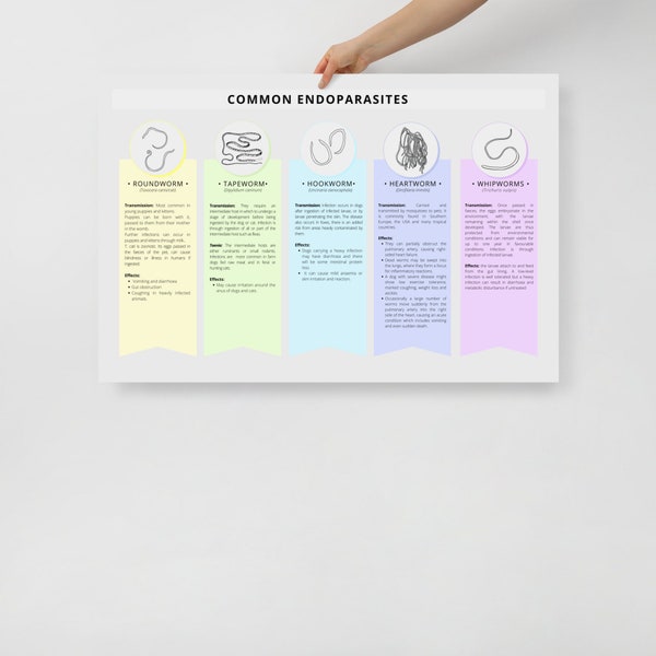 Parasitology Poster - Etsy
