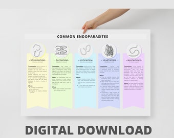 Roundworm Poster - Etsy