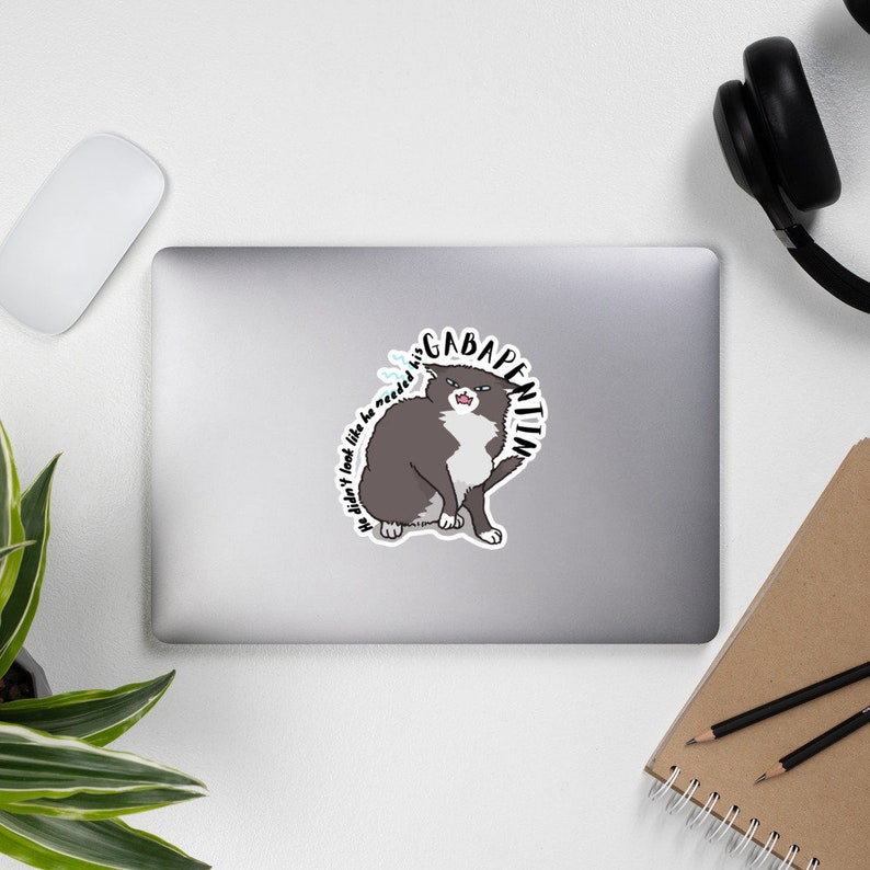 He Didn't Look Like He Needed Gabapentin Funny - Etsy