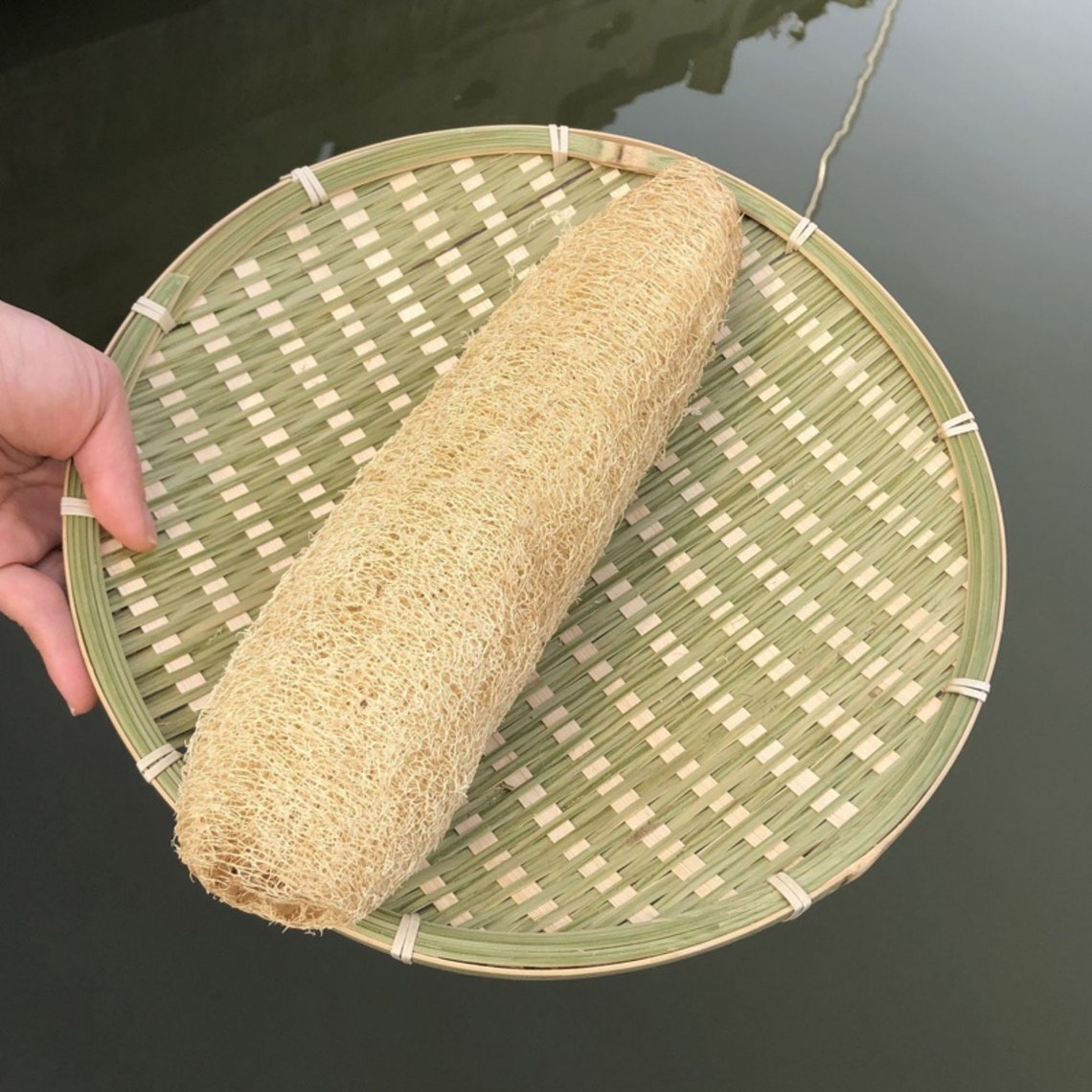 Large Whole Loofah Sponge 25 30 Set 4 Loofah - Etsy