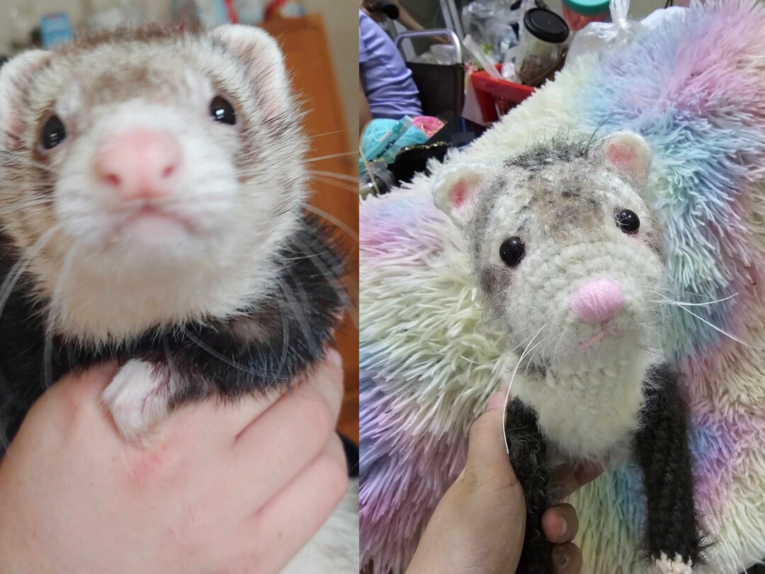 Custom Pet Plushie, Custom Crochet Pet, Custom Pet Plush, Personalized ...