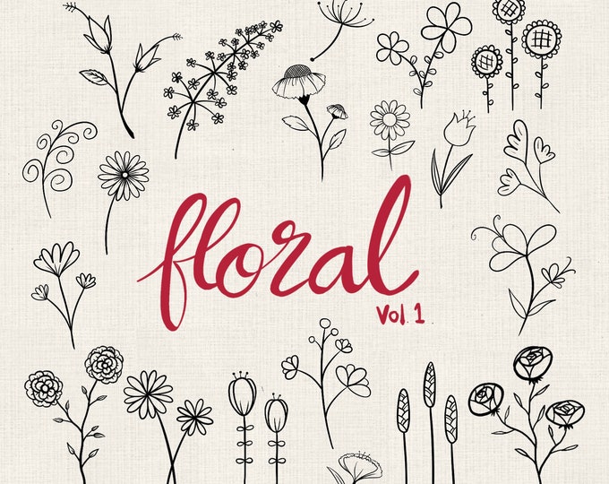 Color Sea Life Clipart Ocean Animal Marine Aquarium - Etsy