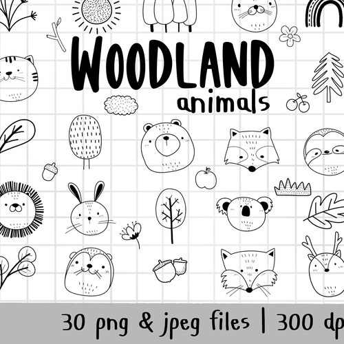 Woodland Animals Clipart Forest Animal Wild Cute Animal - Etsy