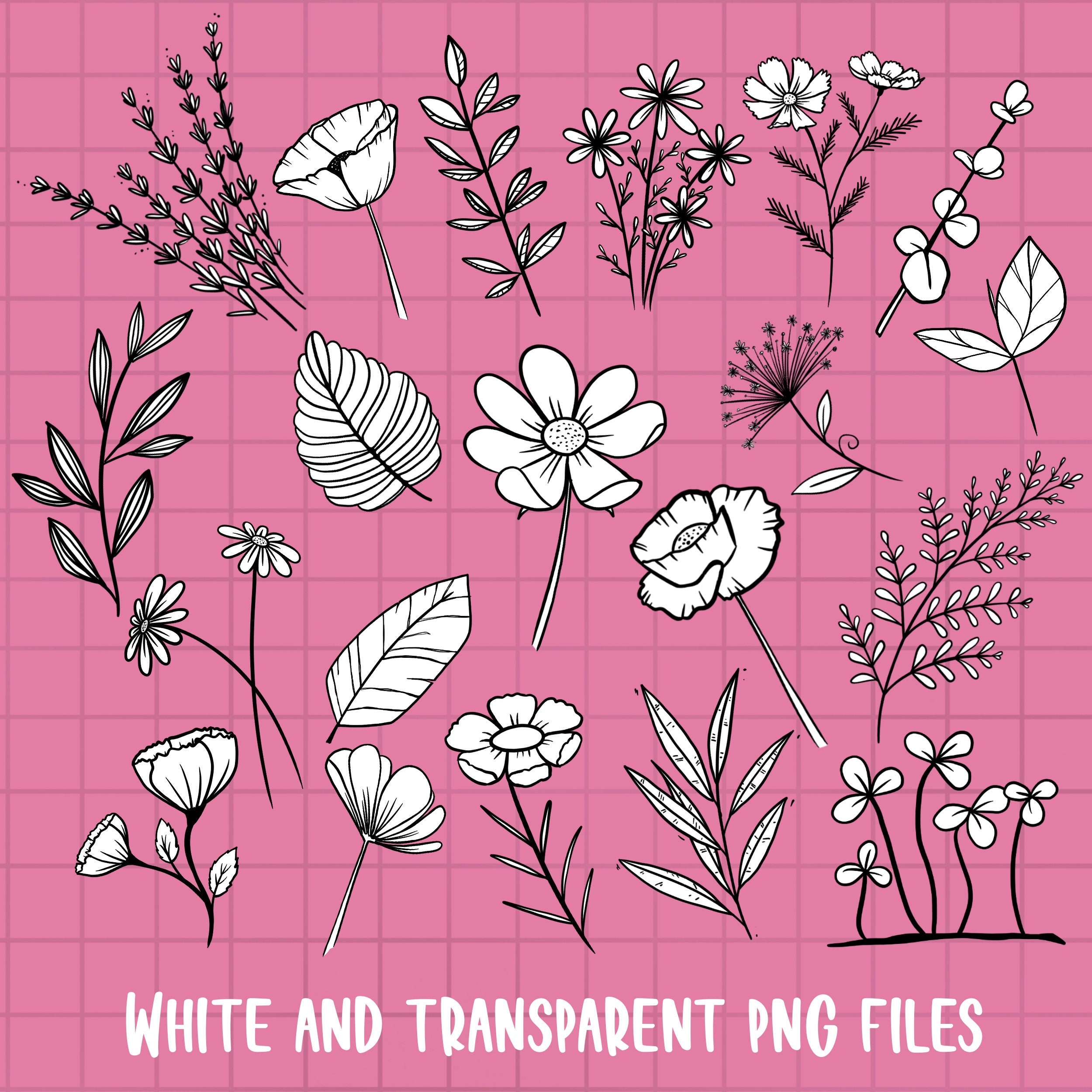 Floral Hand Draw Clipart Set Black and White Flower / Floral Line Art ...