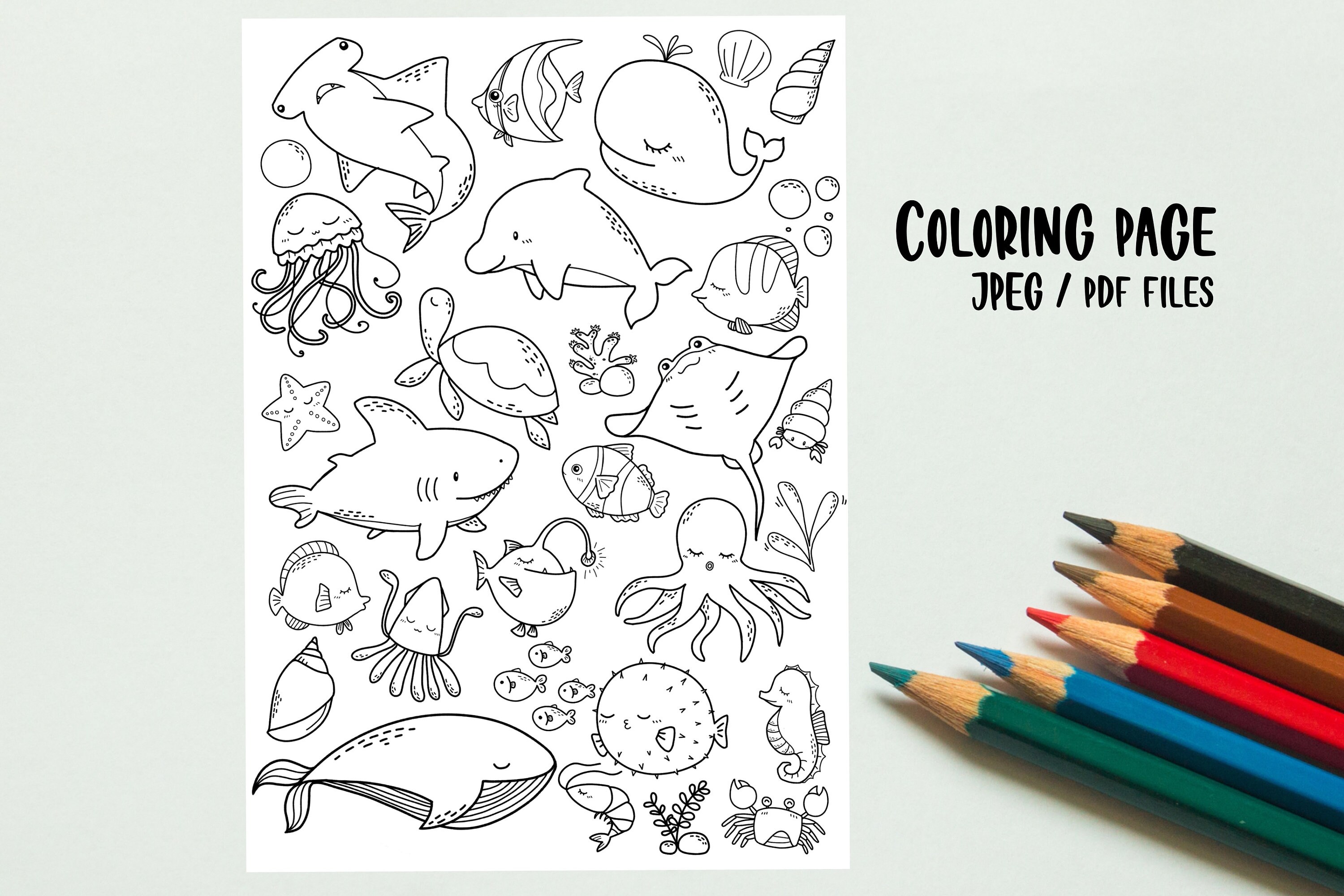 Sea life Clipart Ocean Animal Marine undersea aquarium | Etsy