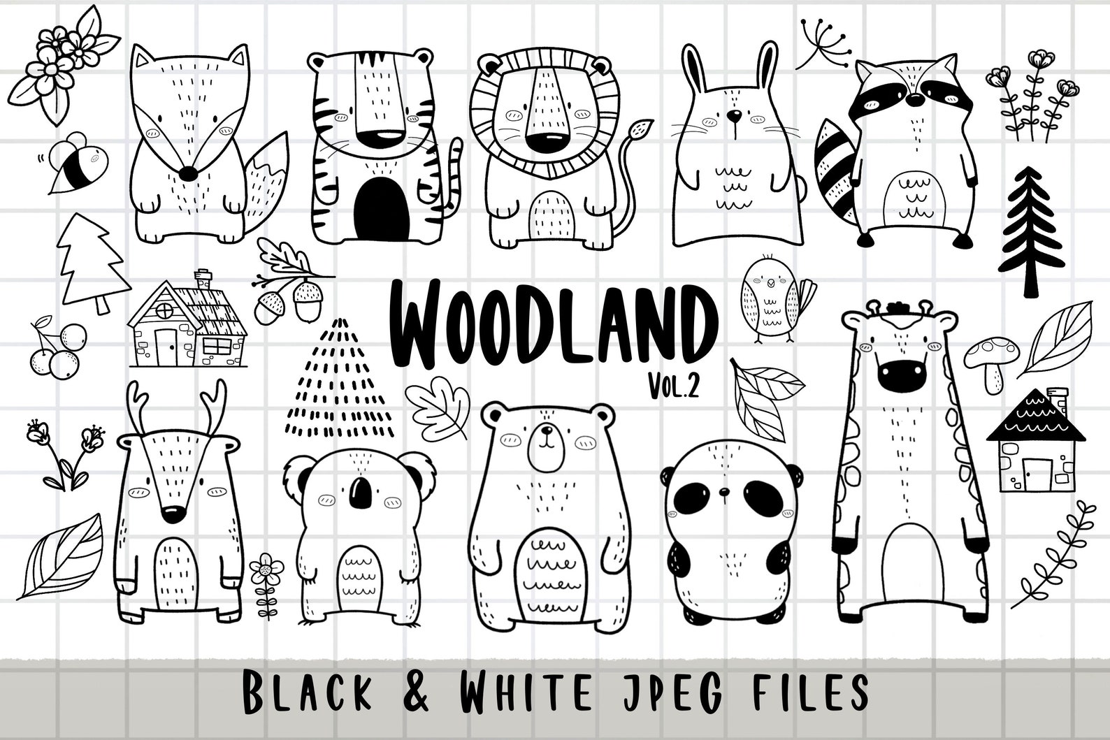 Woodland Animals Clipart, Forest Animal, Wild Cute Animal, Outline ...