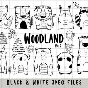 Woodland Animals Clipart, Forest Animal, Wild Cute Animal, Outline ...