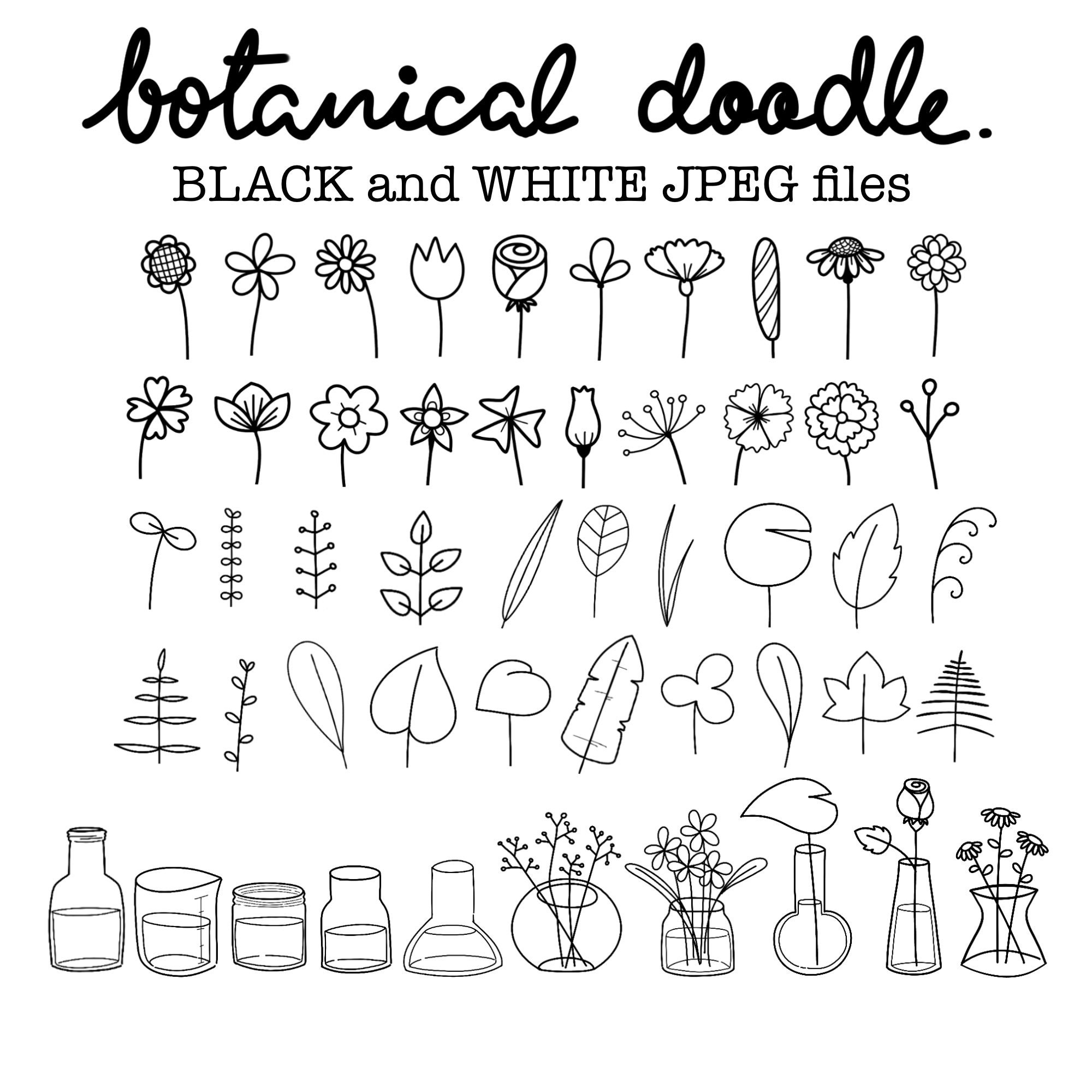 Botanical Hand Draw Clipart / Flower - Floral - Leaves Doodle / Flower ...