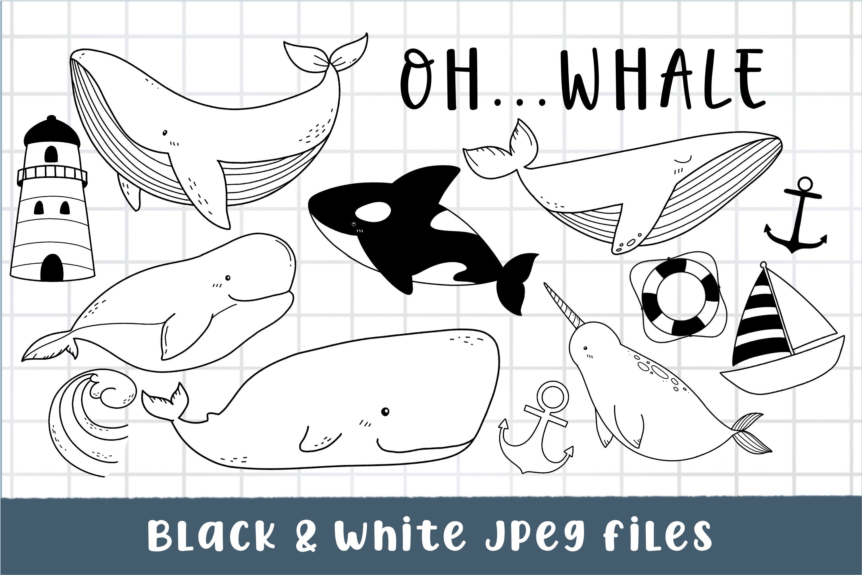 Cute Whale Clipart, Sea Life, Ocean Animal, Marine, Undersea, Aquarium ...
