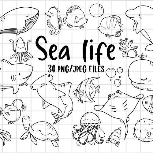 Sea Life Clipart Ocean Animal Marine Undersea Aquarium - Etsy