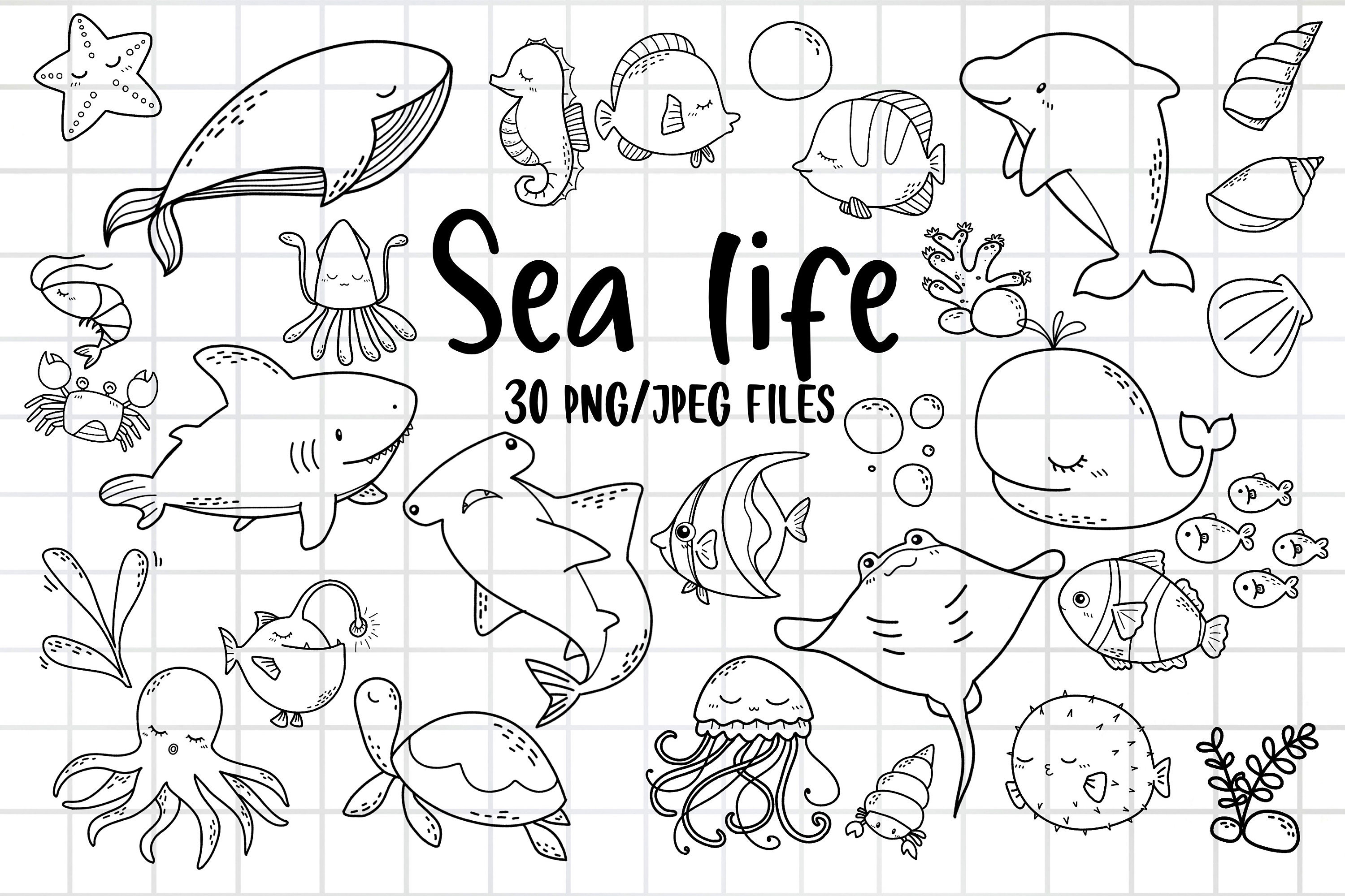 Sea Life Clipart, Ocean Animal, Marine, Undersea, Aquarium, Outline ...