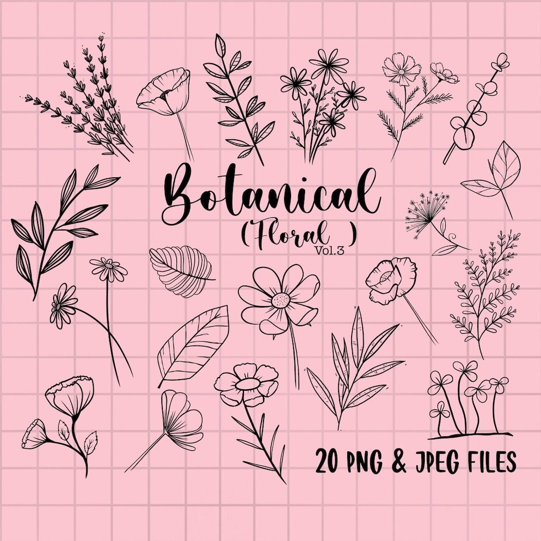 Floral Hand Draw Clipart Set - Black and White Flower / Floral Line Art ...