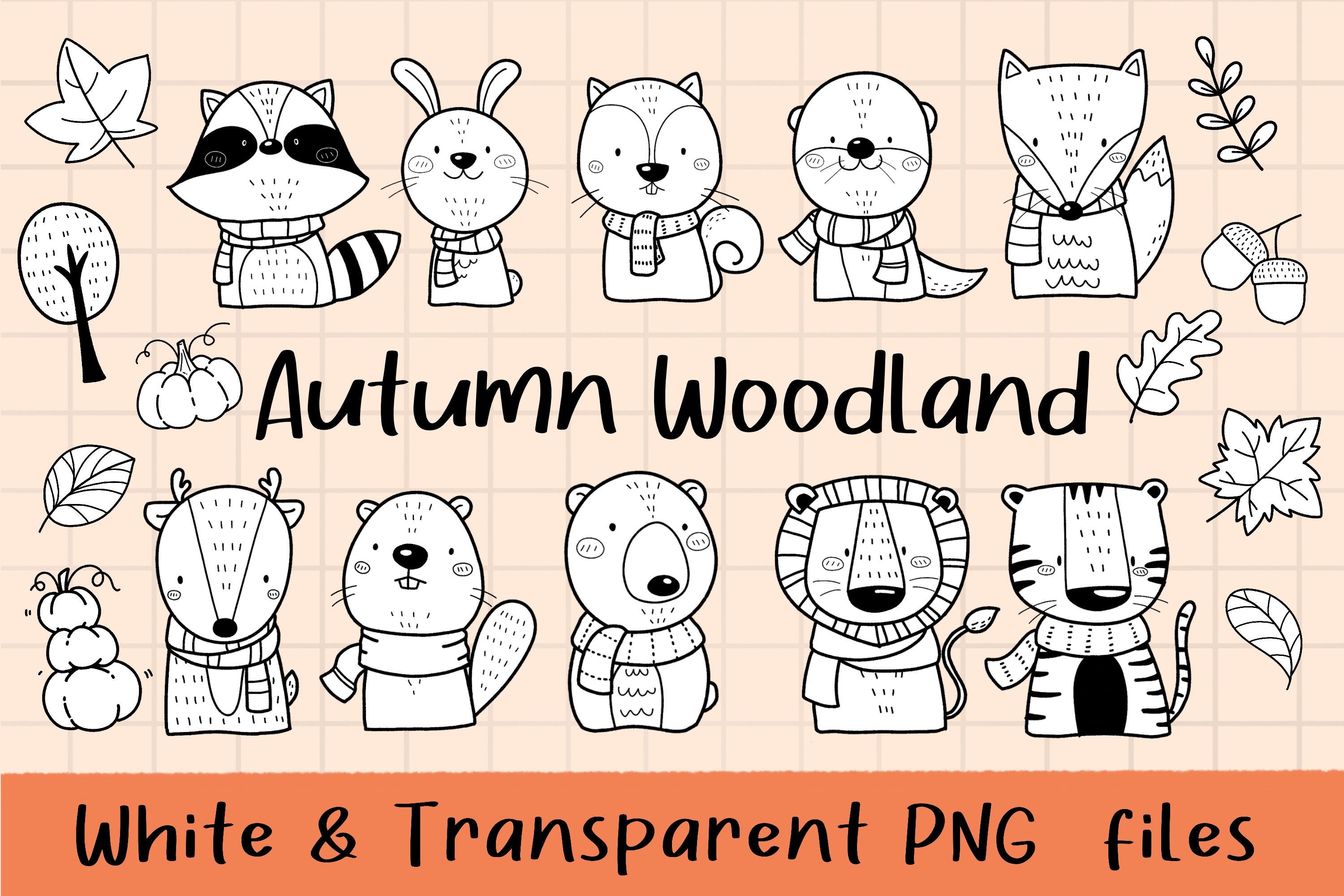 Autumn Woodland Animals Clipart, Fall Woodland Animals PNG, Autumn PNG ...