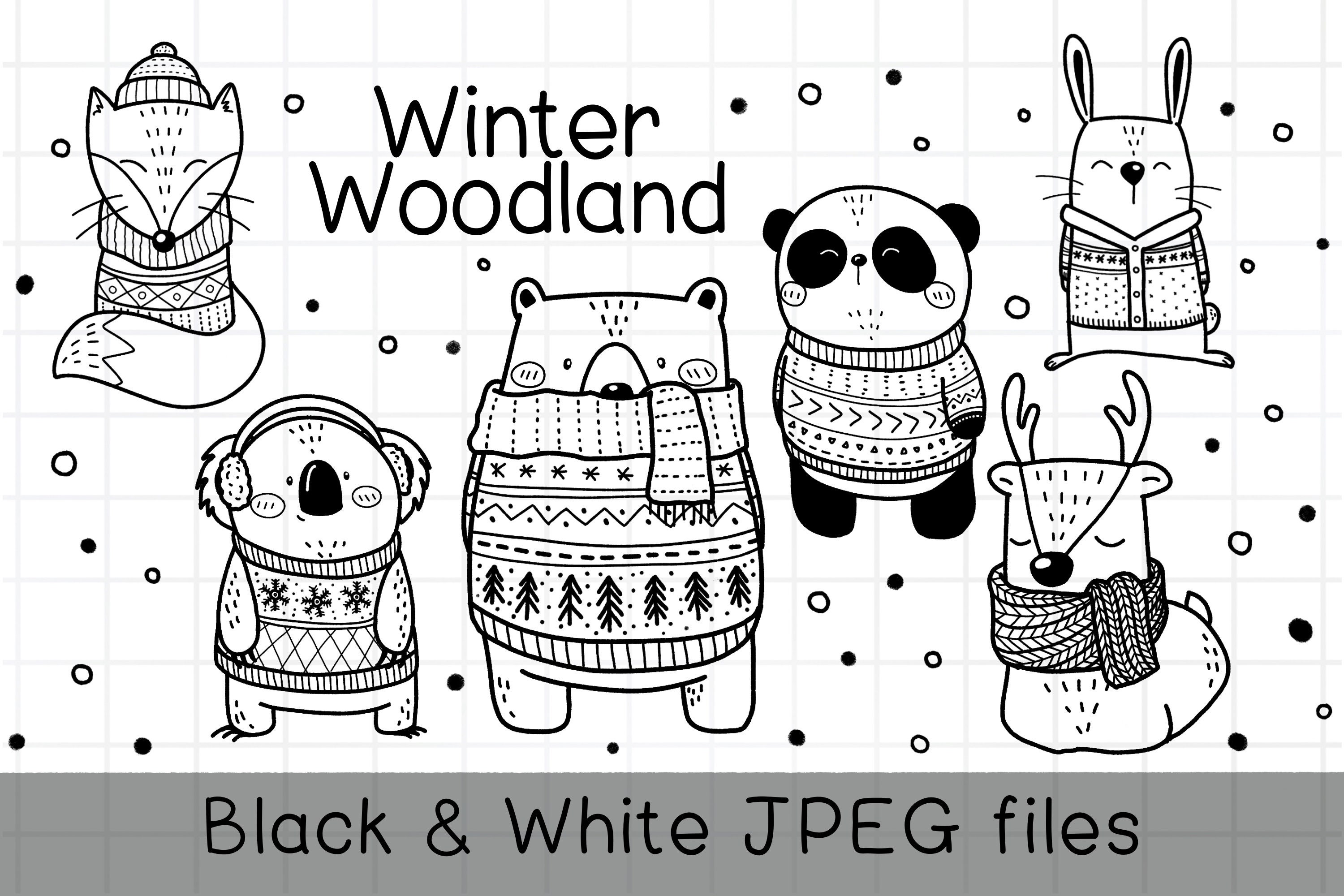 Winter Woodland Animals Clipart Animal in Sweater PNG Winter - Etsy