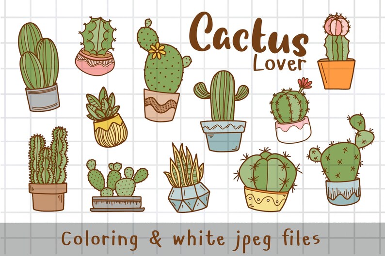 Doodle Cactus Cliparts Succulent Clipart Set House Plants - Etsy