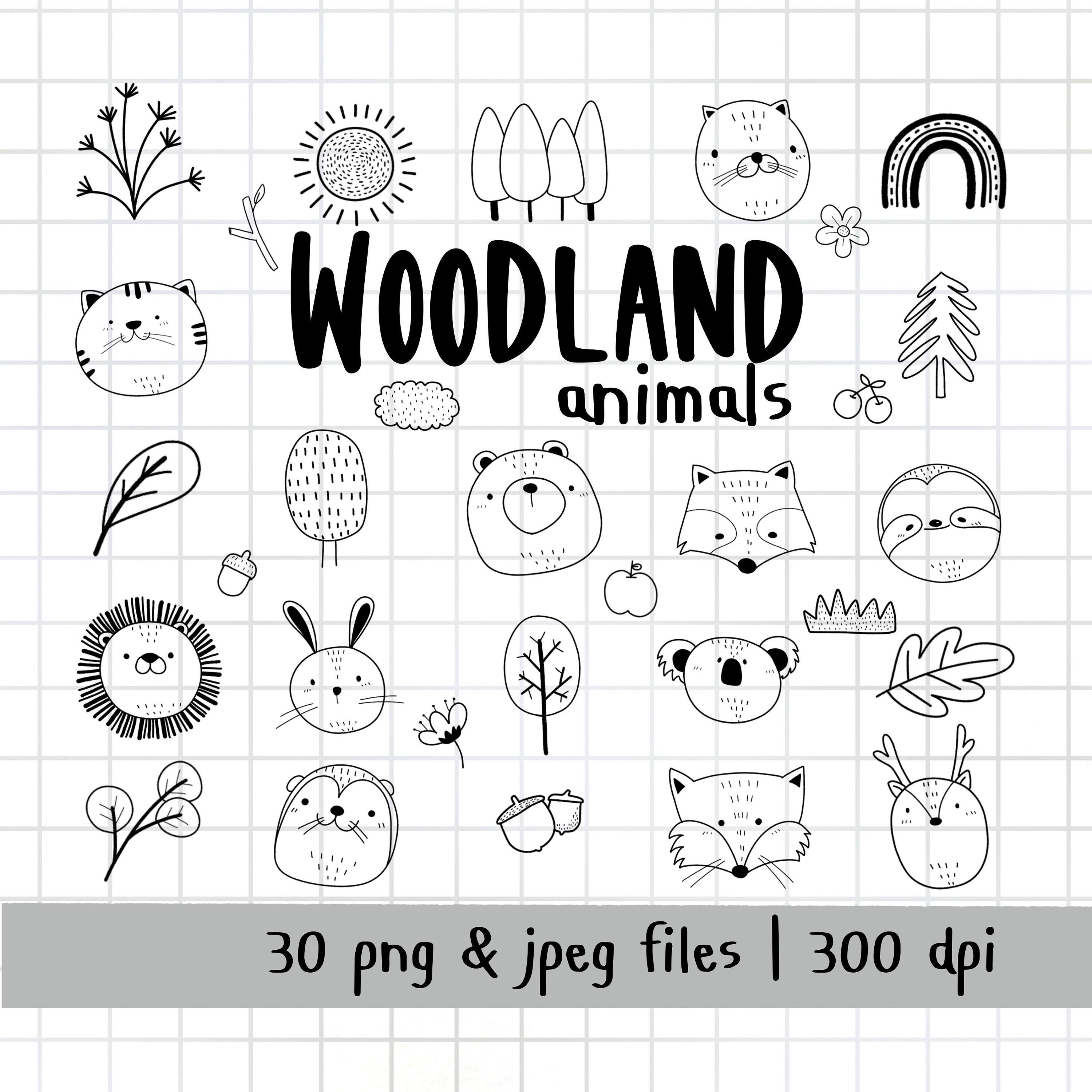 Woodland Animal Face Clipart, Forest Animal, Wild Cute Animal, Outline ...
