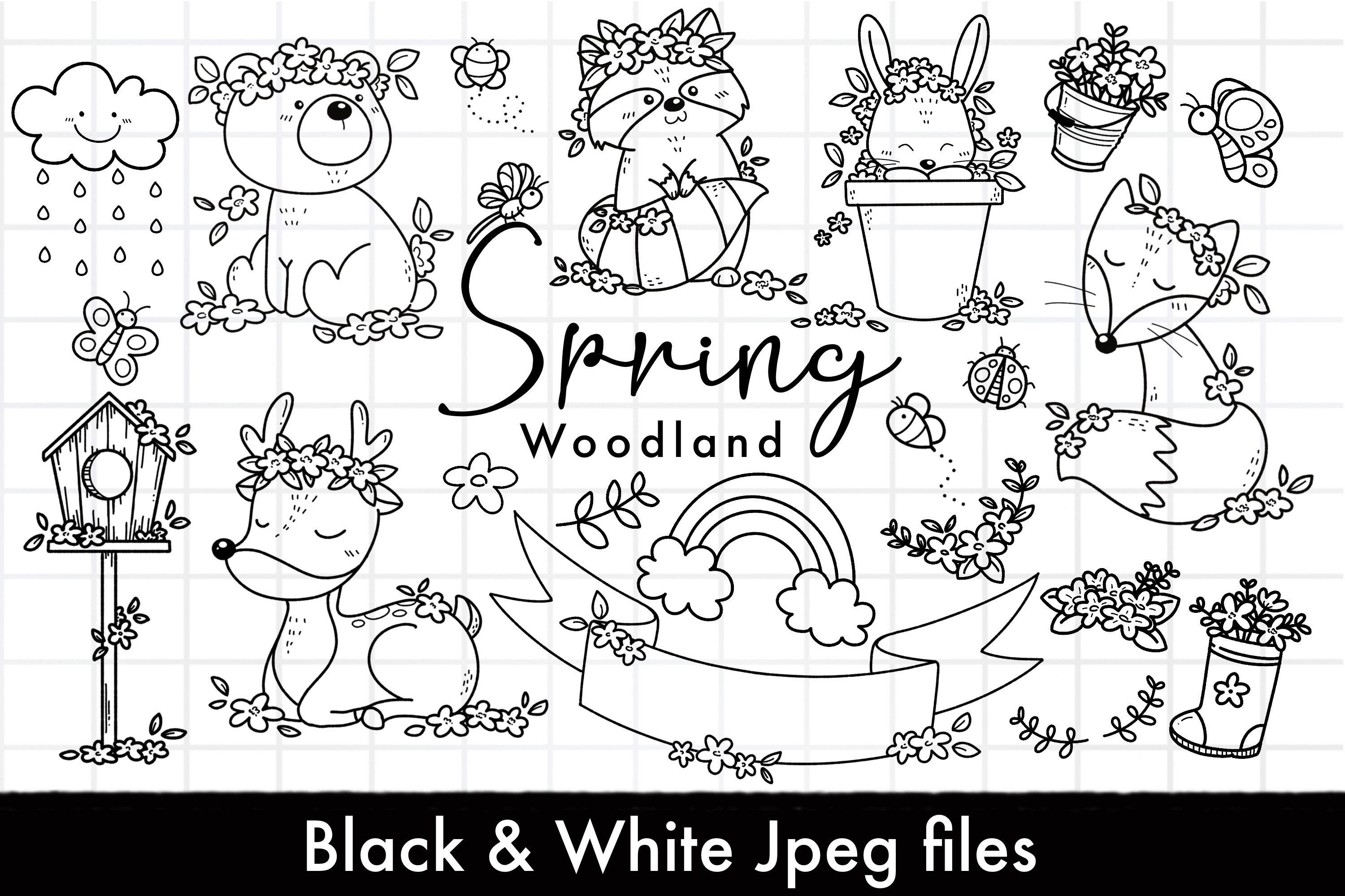 Spring Woodland Animals Clipart, Floral Animal, Wild Cute Animal ...