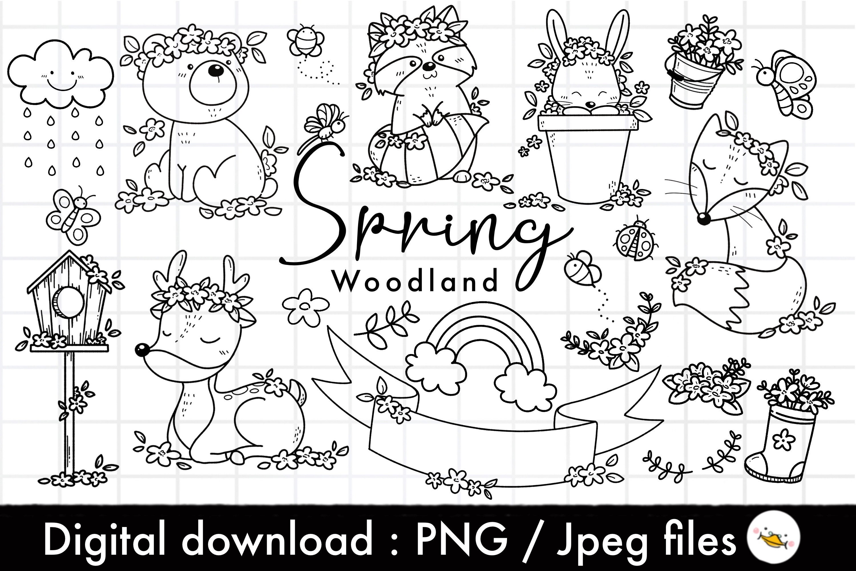 Spring Woodland Animals Clipart, Floral Animal, Wild Cute Animal ...