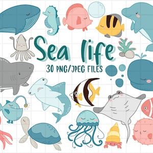 Color Sea life Clipart Ocean Animal Marine aquarium | Etsy