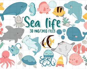 Sea Life Clipart Ocean Animal Marine Undersea Aquarium | Etsy