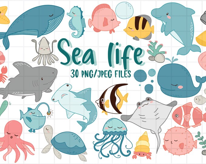 Color Sea Life Clipart Ocean Animal Marine Aquarium - Etsy