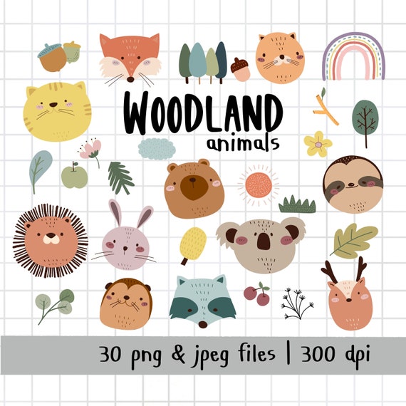 Colorful Woodland Animal Face Clipart Forest Animal Wild - Etsy