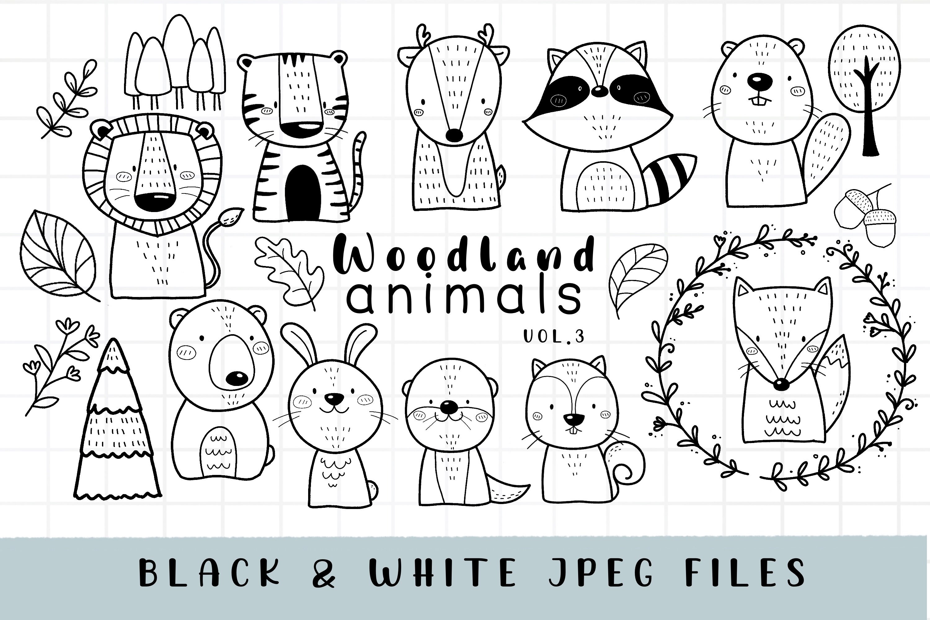 Woodland Animals Clipart, Forest Animal, Wild Cute Animal, Outline ...