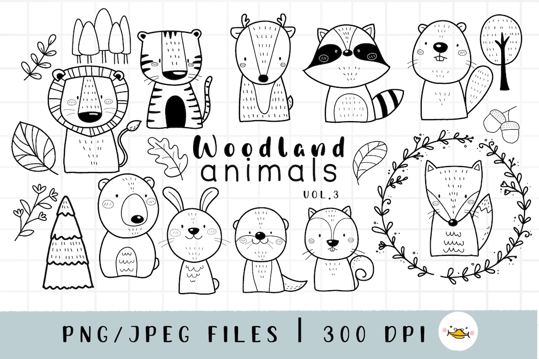 Woodland Animals Clipart, Forest Animal, Wild Cute Animal, Outline ...