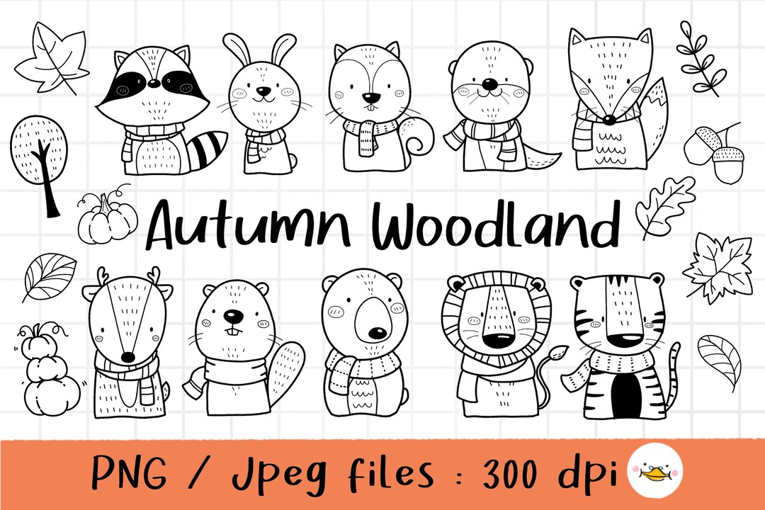 Autumn Woodland Animals Clipart, Fall Woodland Animals PNG, Autumn PNG ...