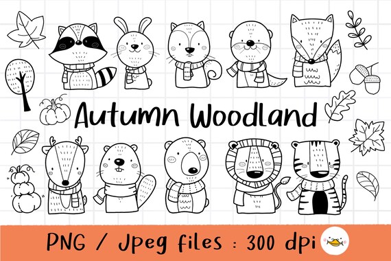 Autumn Woodland Animals Clipart Fall Woodland Animals PNG - Etsy