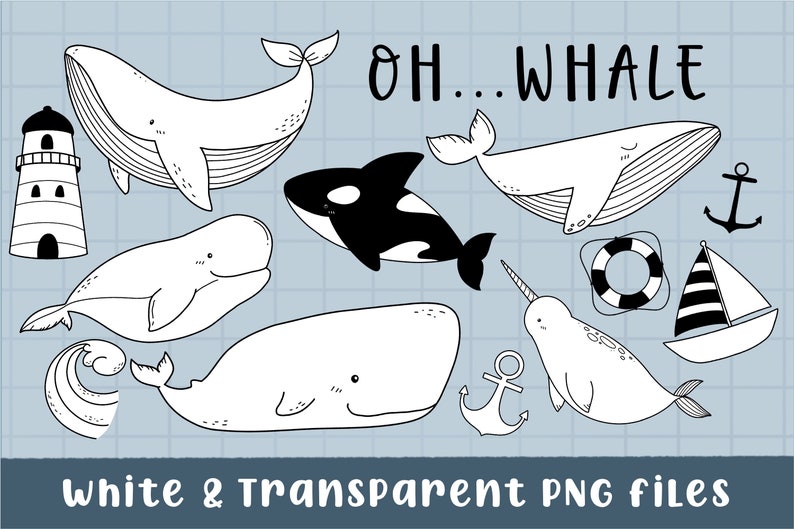 Cute Whale Clipart, Sea Life, Ocean Animal, Marine, Undersea, Aquarium ...